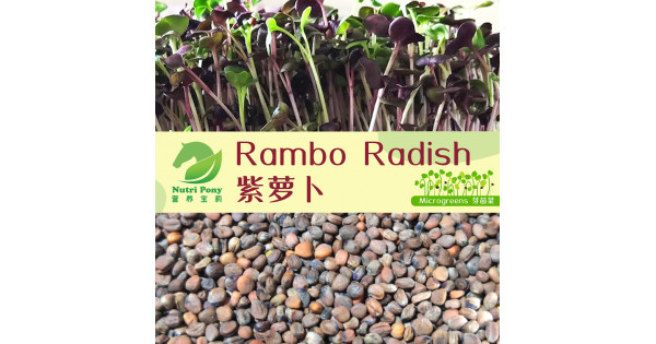 Rambo Radish Microgreens Seeds