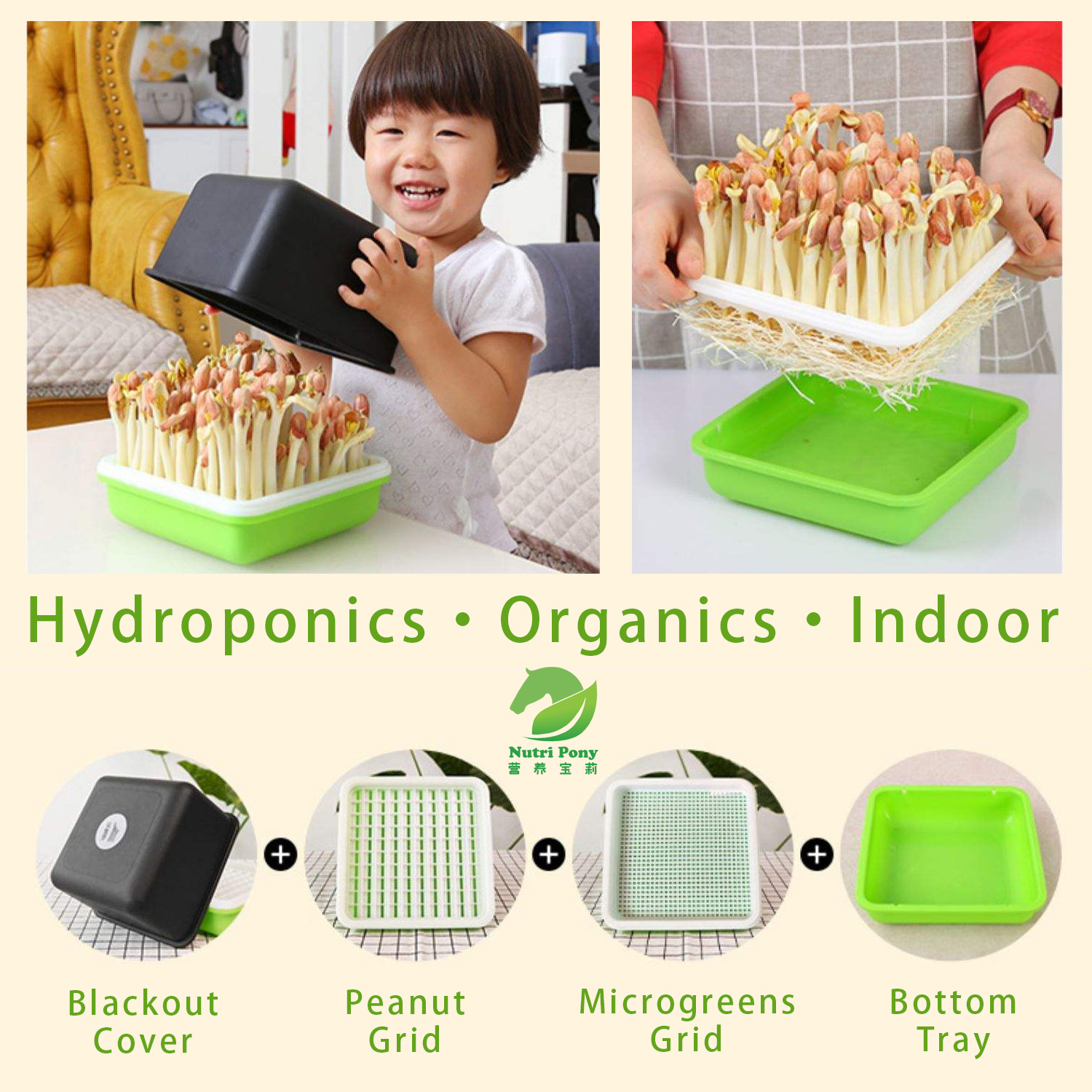 Peanut Sprouts Planting Starter Kit