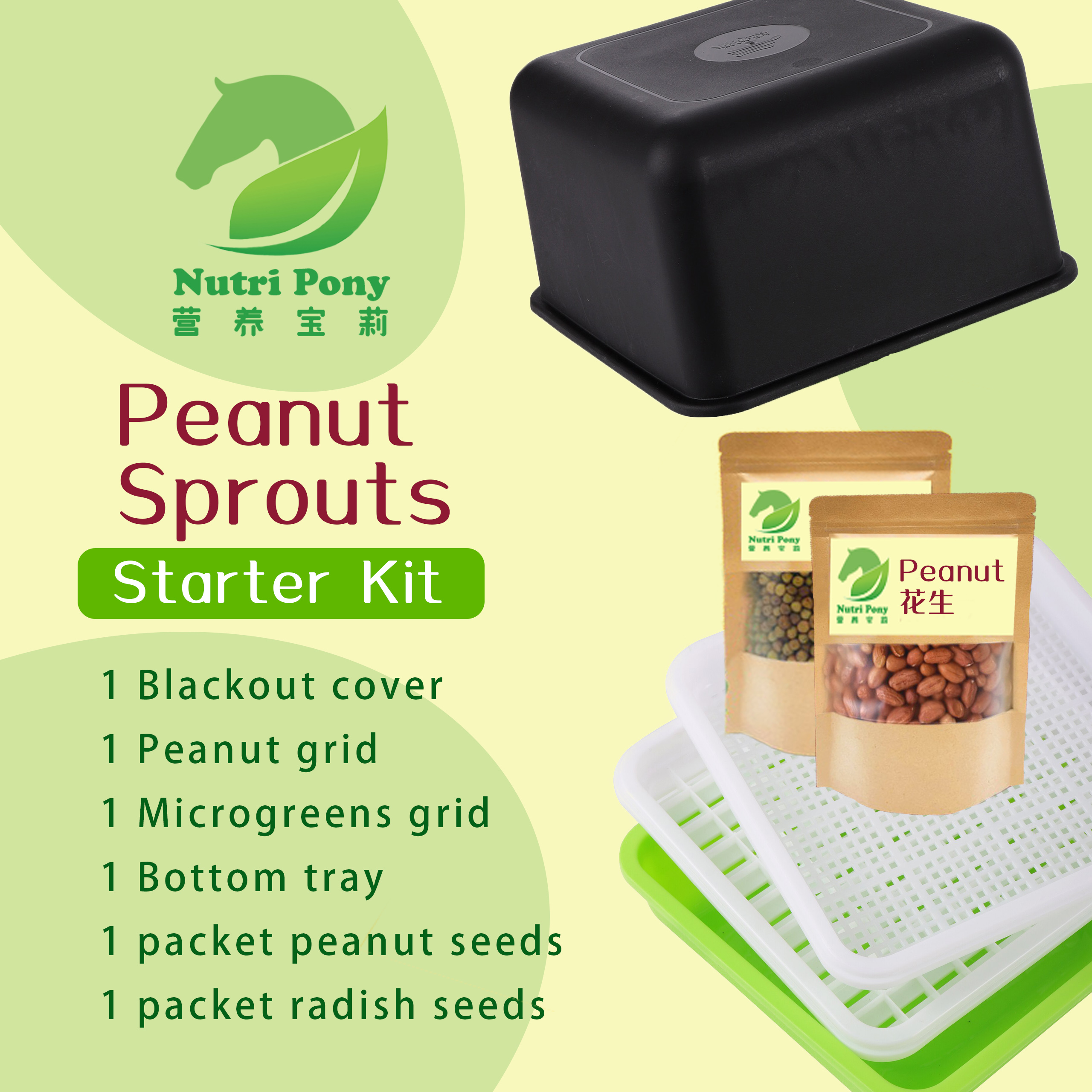 Peanut Sprouts Planting Starter Kit